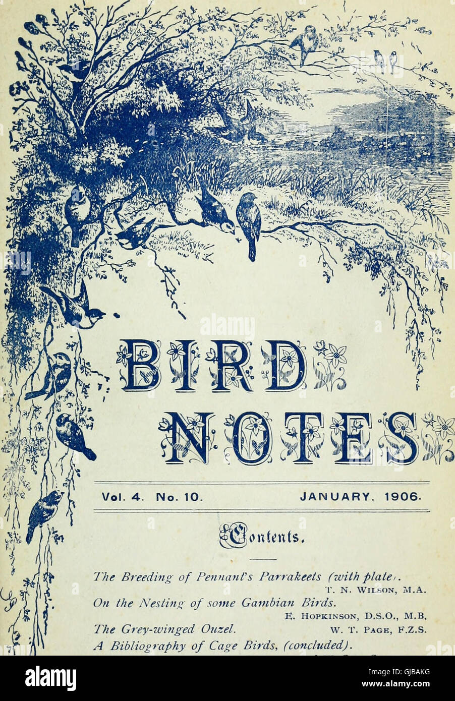 Bird notes (1902 Stock Photo - Alamy