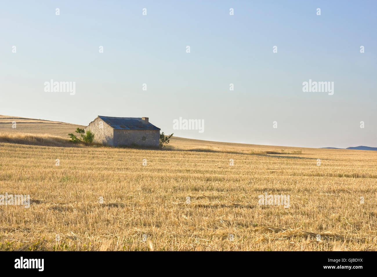 Farm crop field house hi-res stock photography and images - Alamy
