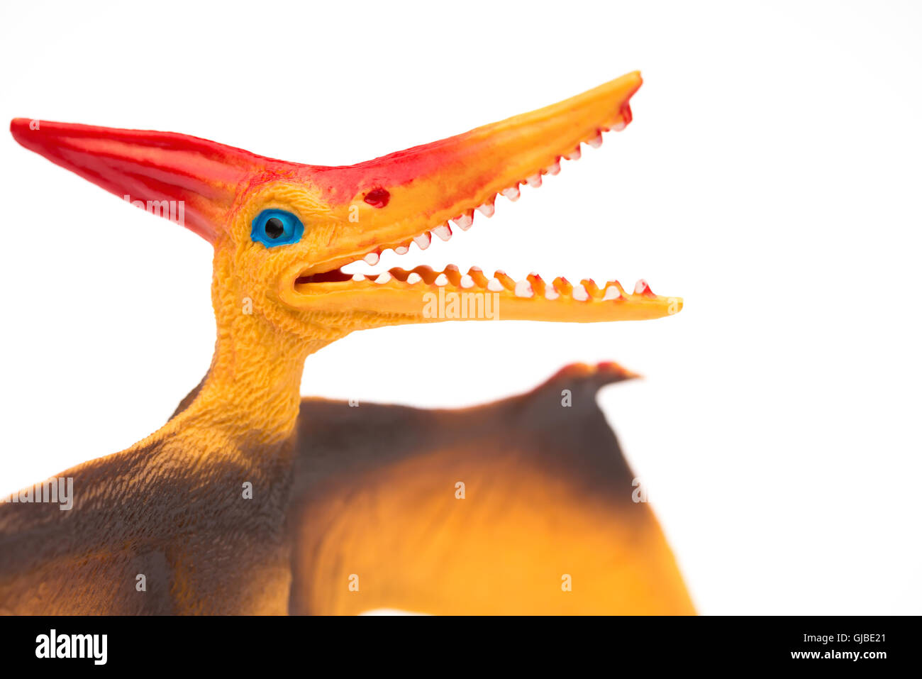 orange pterosaurs toy on a white background close up Stock Photo - Alamy