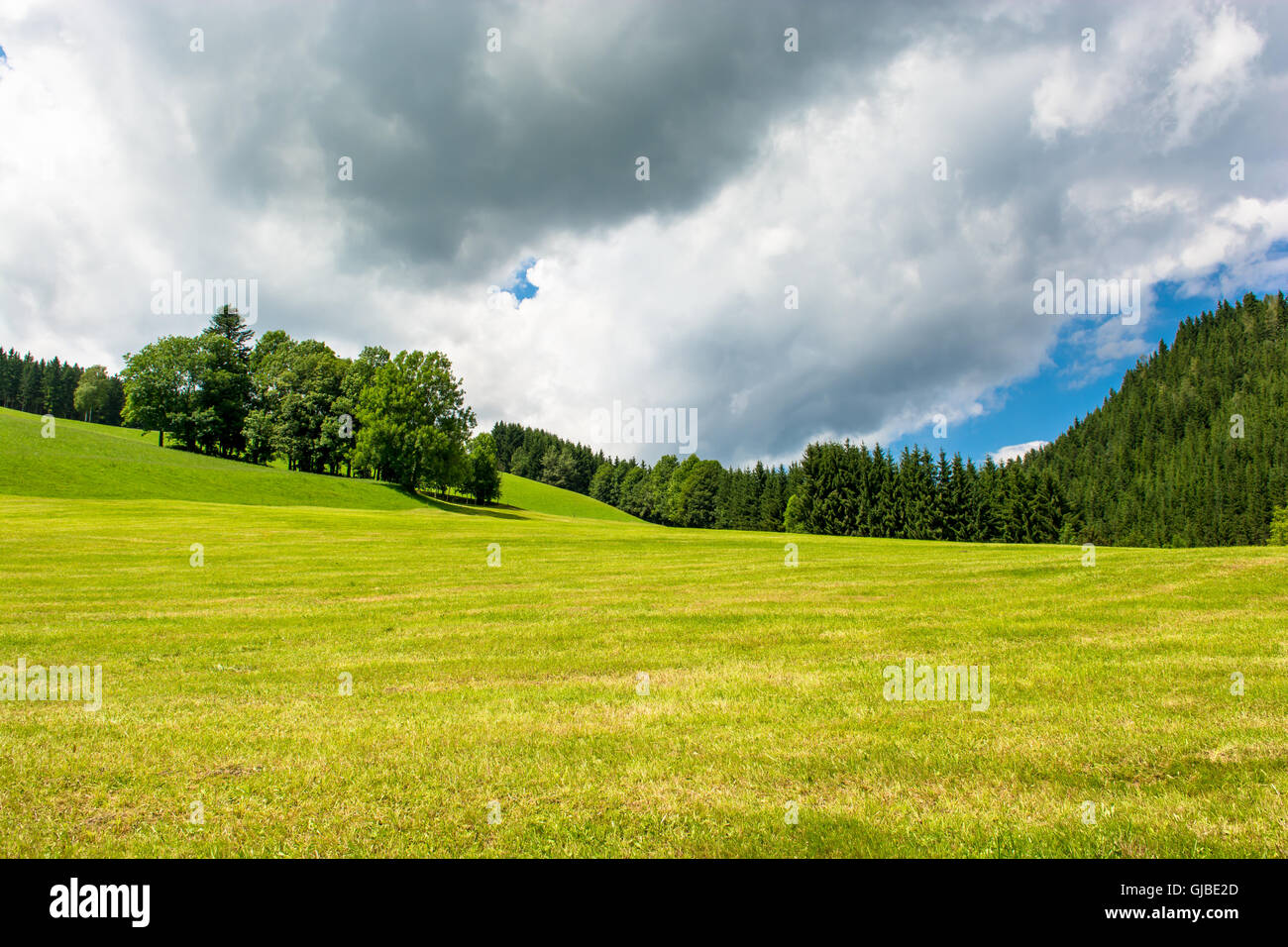 Rural Landscape With Green Hills And Forest In Styria In Austria Stock ...