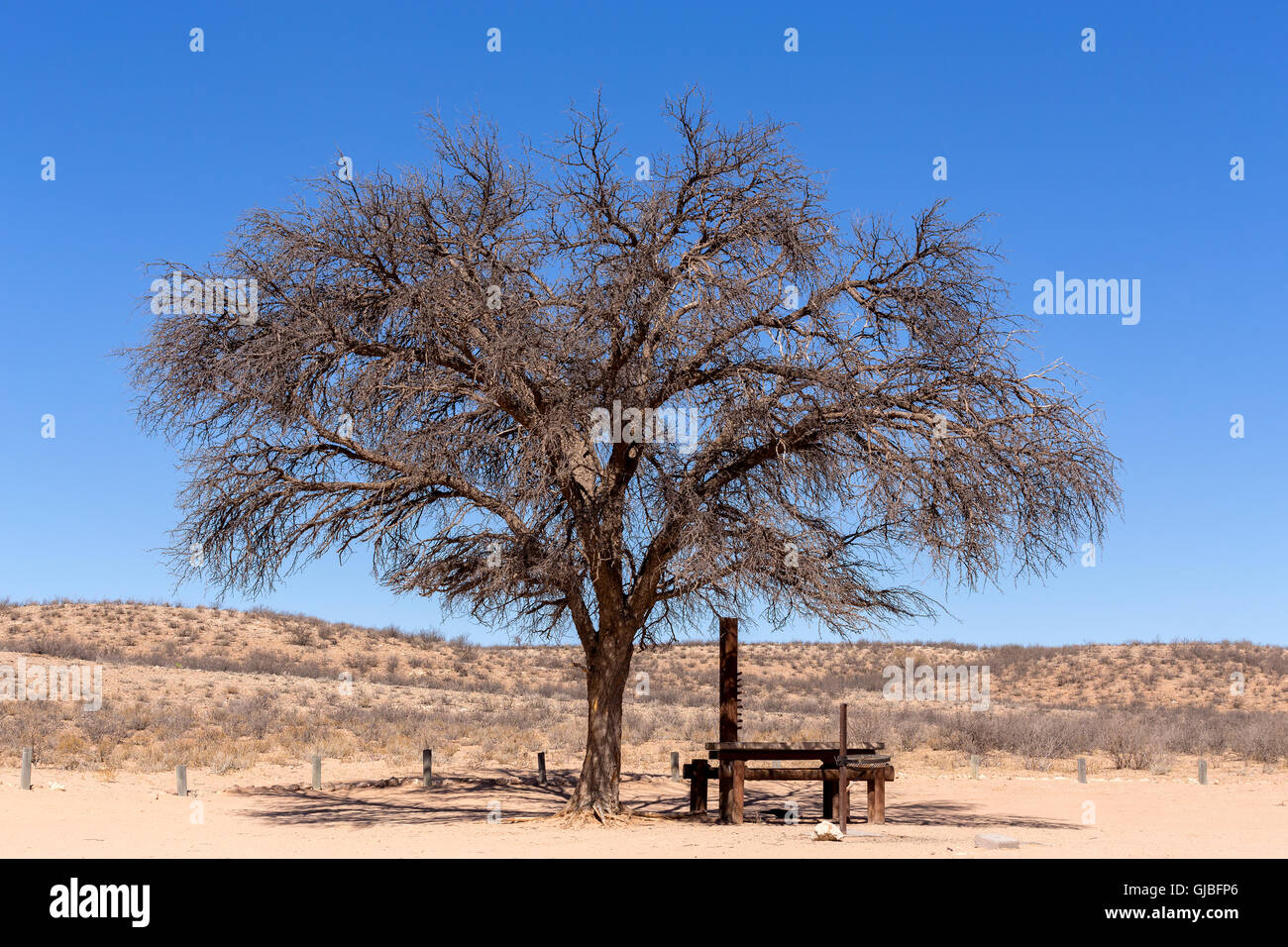 Kgalagadi transfontier hi-res stock photography and images - Alamy