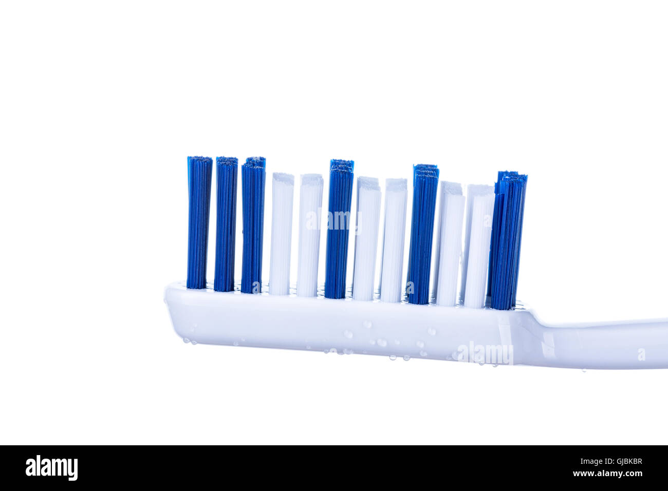 Single toothbrush head with water drops isolated on white background ...