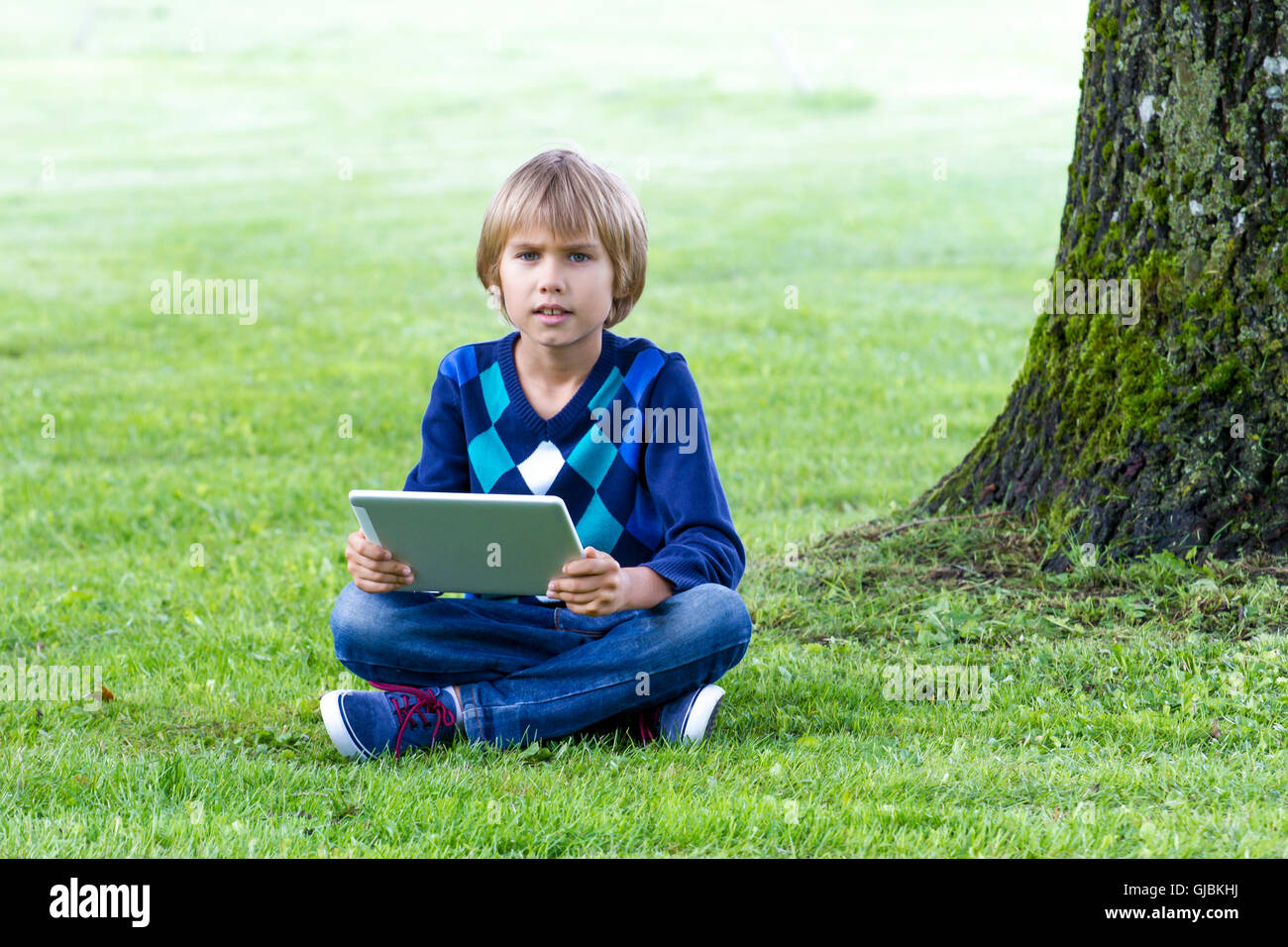 The boy sitting under a big tree with the tablet PC. Technology ...