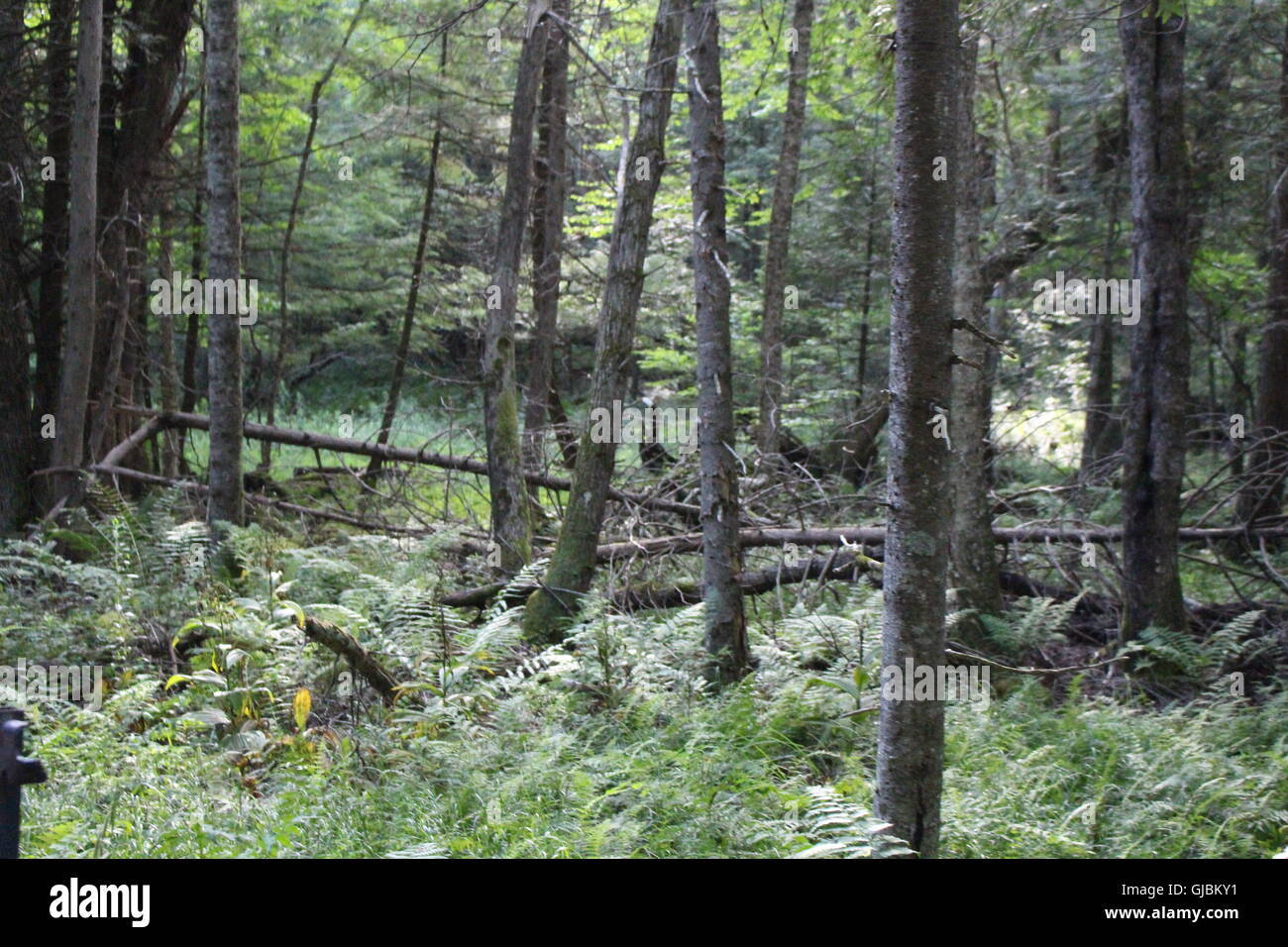 Summer in Sutton Quebec Stock Photo - Alamy