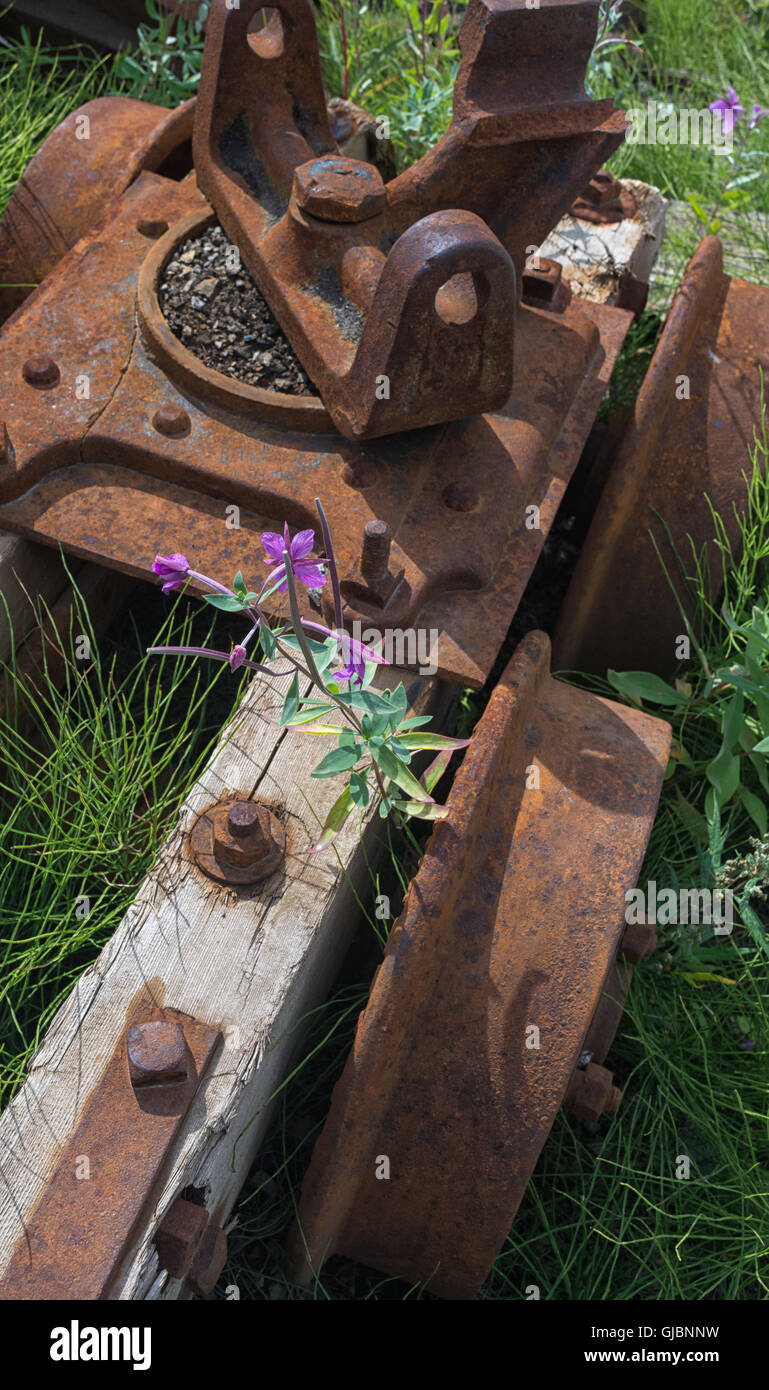 Rusted trolley hi-res stock photography and images - Alamy