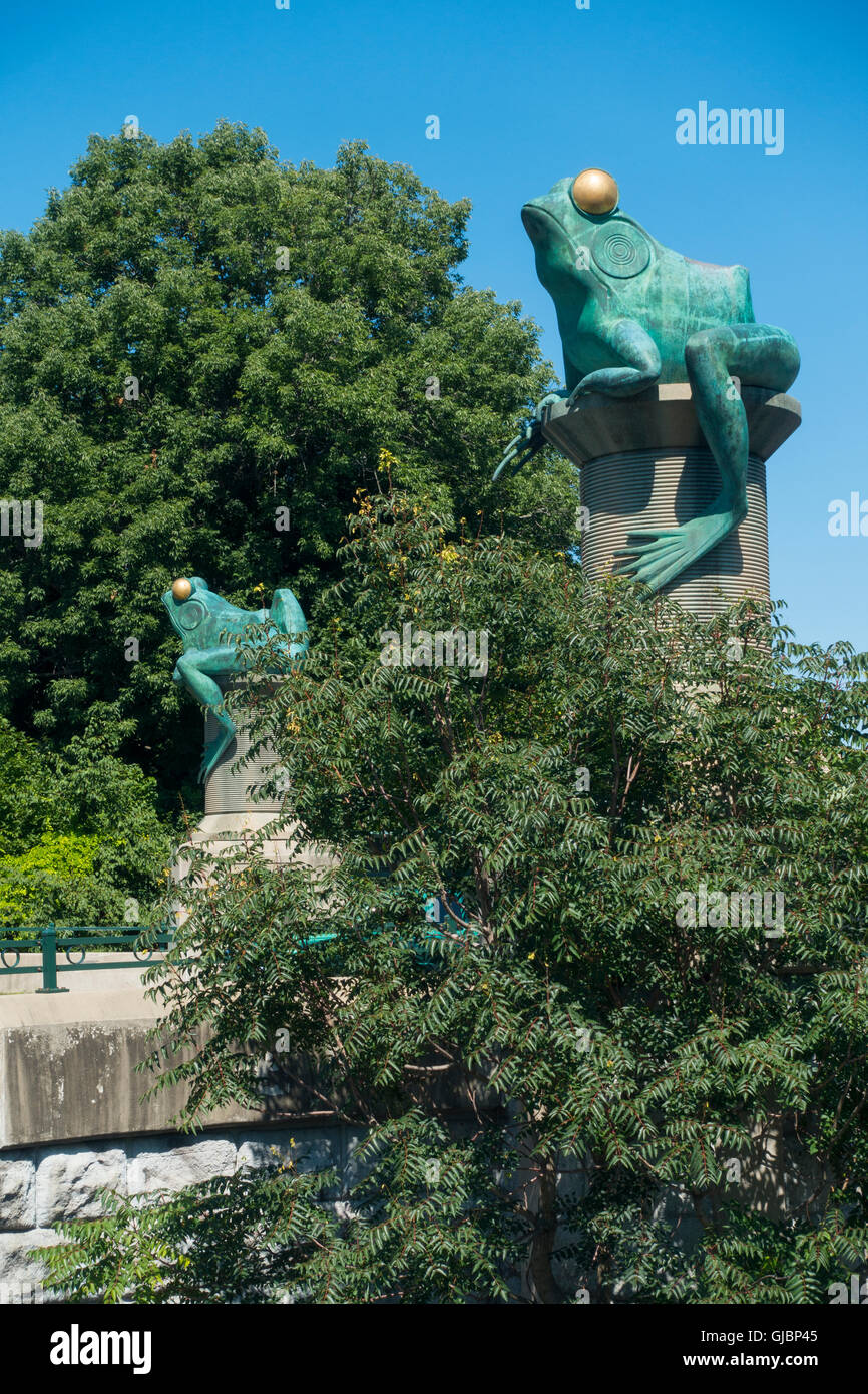 Willimantic frog hi-res stock photography and images - Alamy