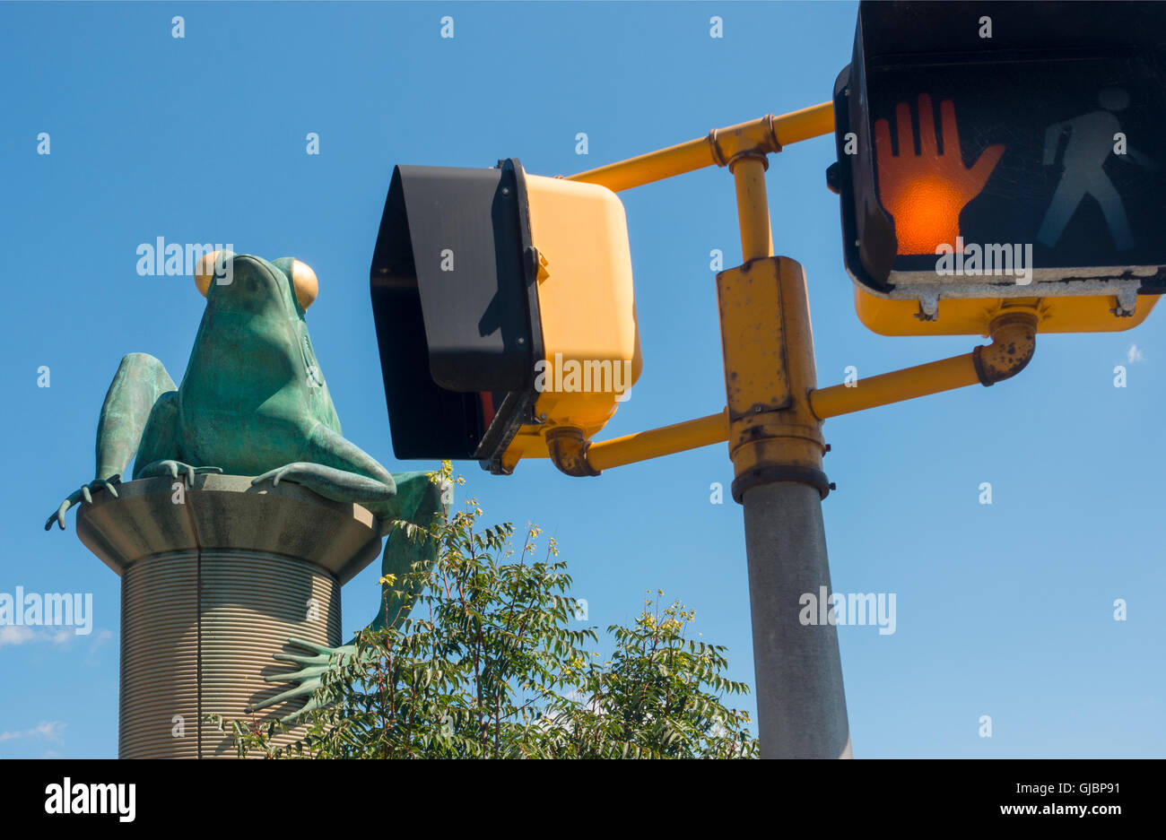 Willimantic frog hi-res stock photography and images - Alamy
