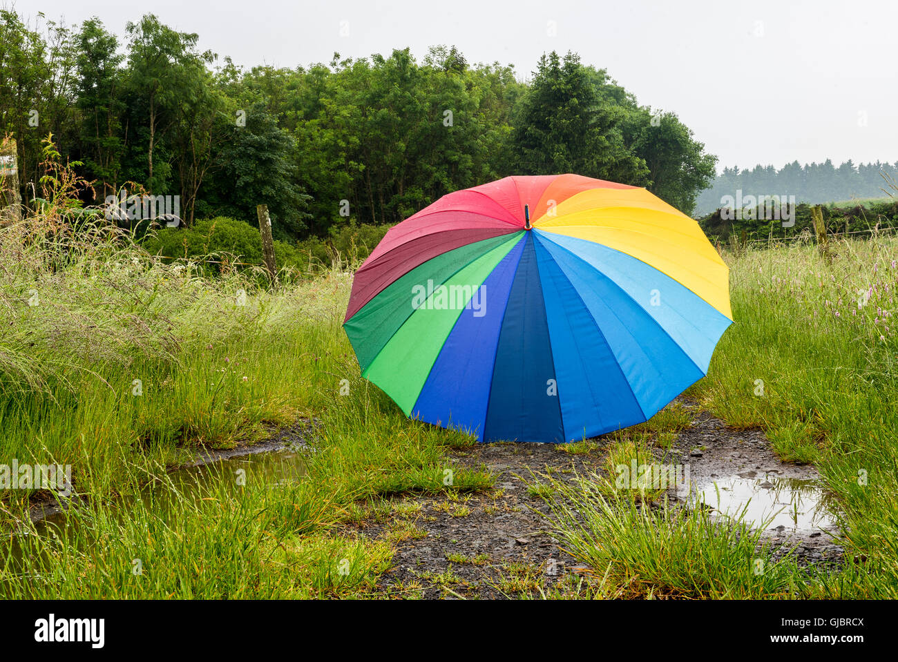 big colored umbrella in the rainy landscape Stock Photo - Alamy