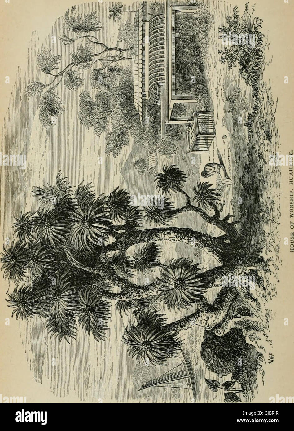 A detailed account from 1870 of Captain James Cook's three voyages of ...