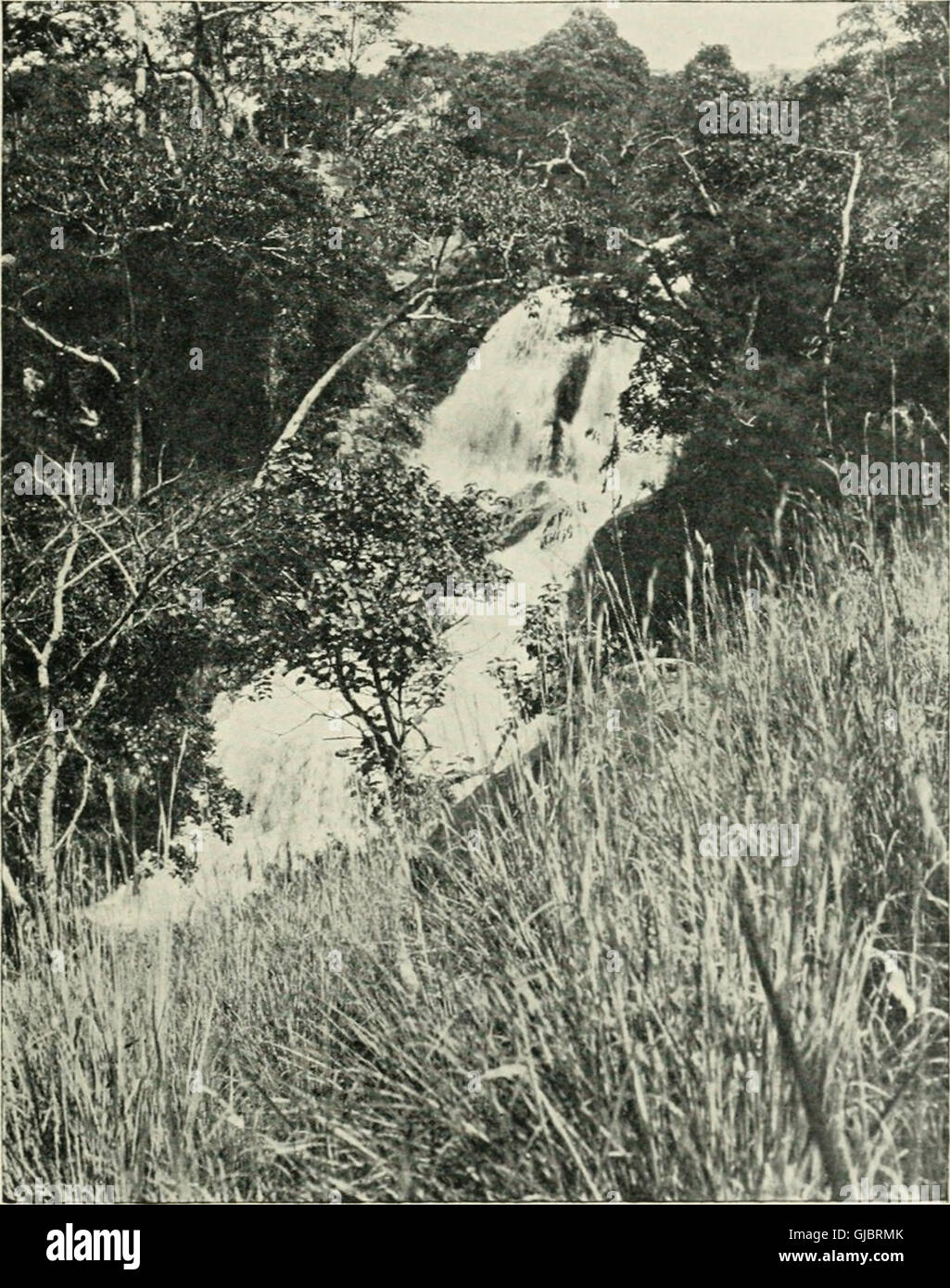 A 1909 illustration from 'The Nandi, their language and folk-lore ...