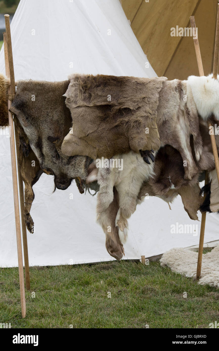 Fur and Leather Animal Hide, pelts Stock Photo - Alamy