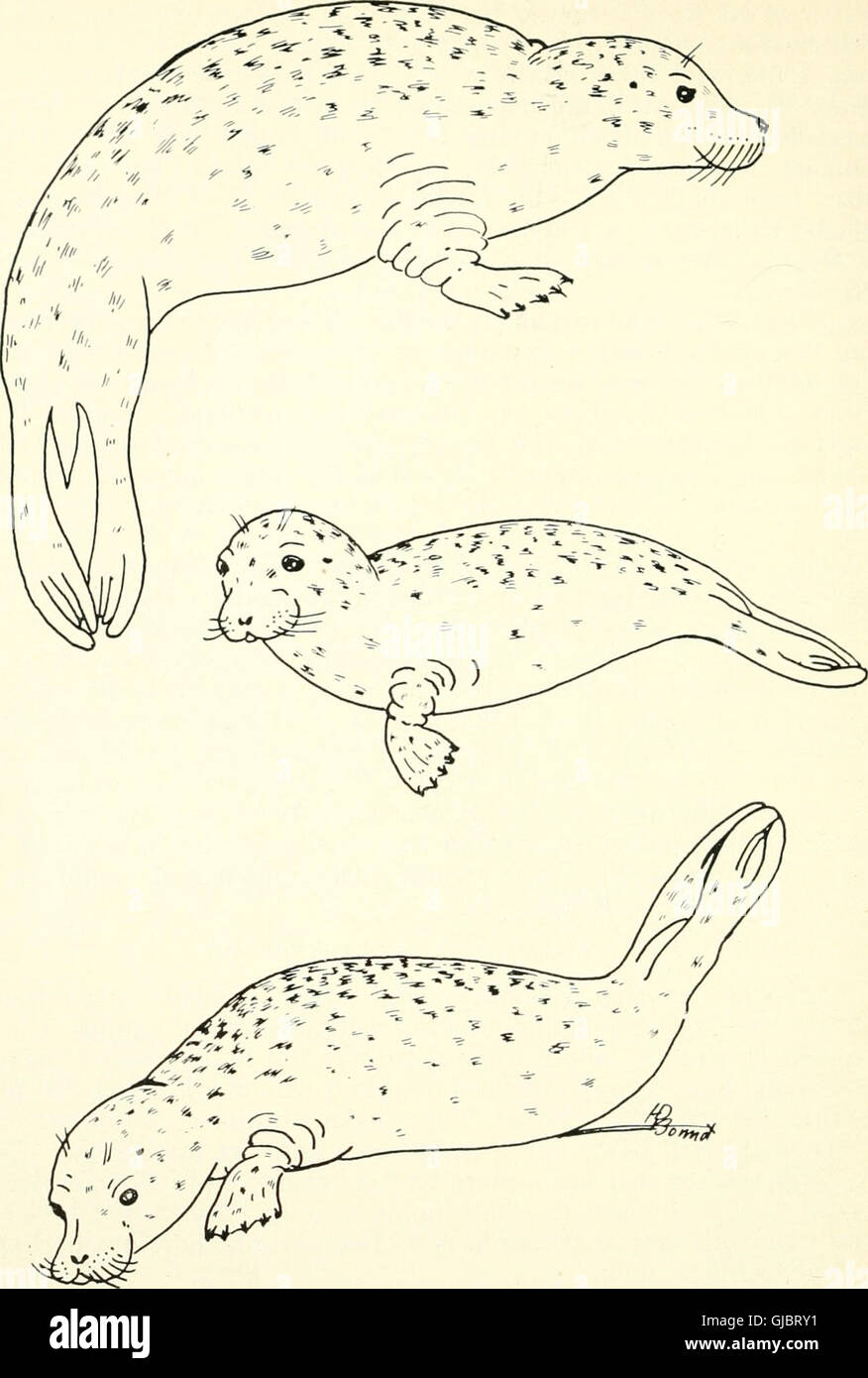'California Fish and Game' is a publication focused on the management ...