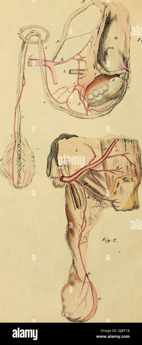 Theoretisch hi-res stock photography and images - Alamy