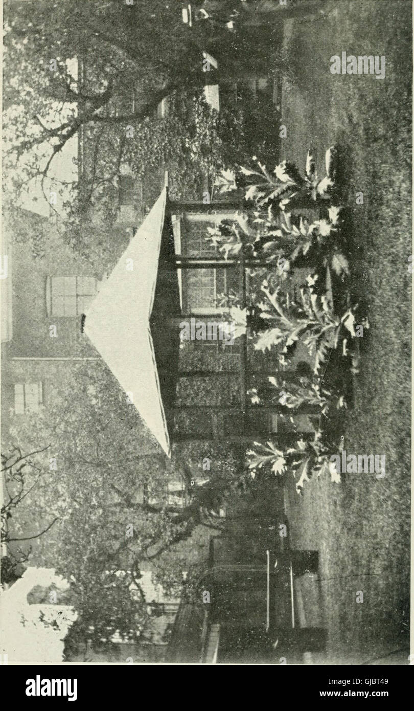 A 1904 publication focused on birdwatching, including brief ...