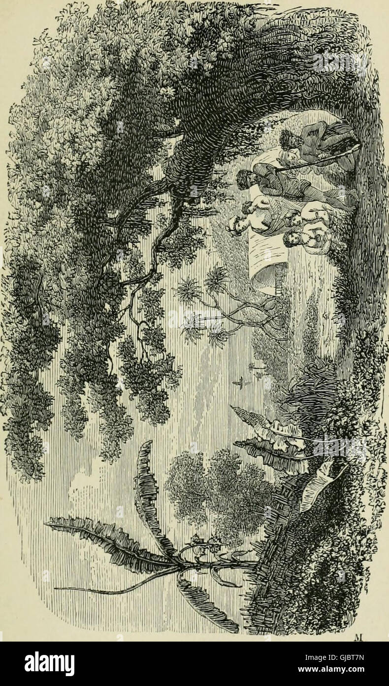 *The Story of Captain Cook's Three Voyages Round the World* (1870 ...