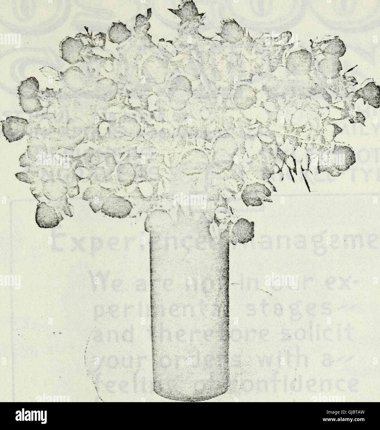 Map of page north dakota hi-res stock photography and images - Alamy