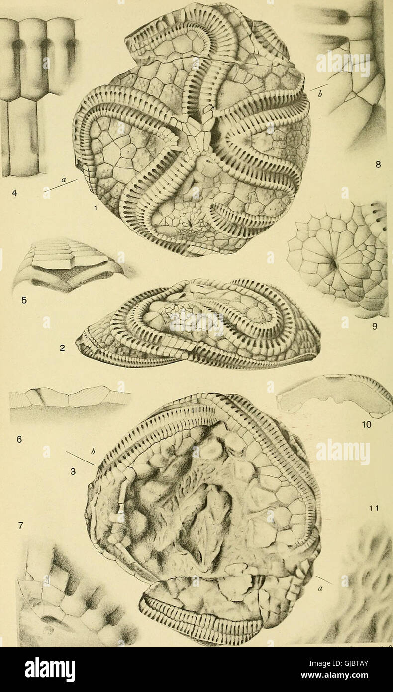 This 1914 edition of the Geological Magazine covers developments in ...