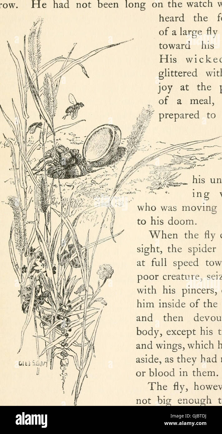 This 1900 work explores the behavior, communication, and lifestyles of ...