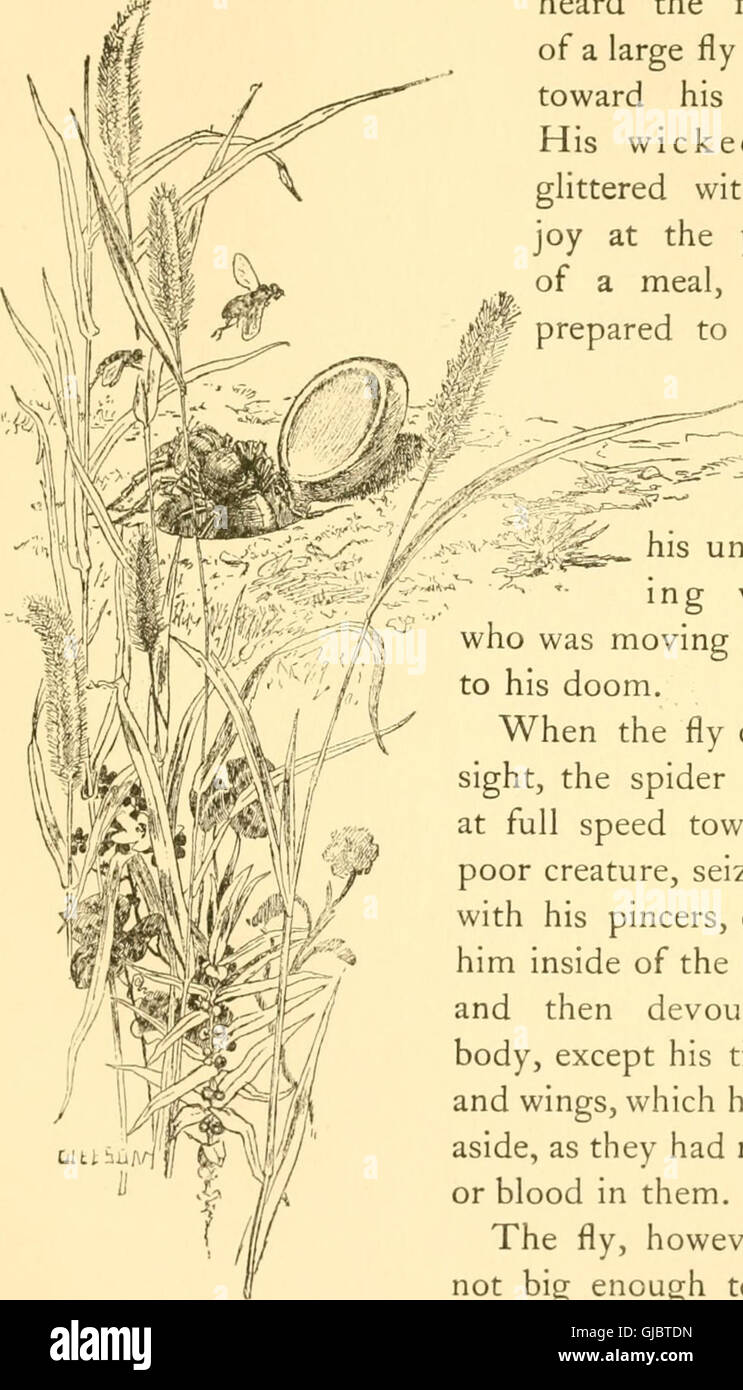 'The World of the Great Forest' (1900) explores the behaviors ...