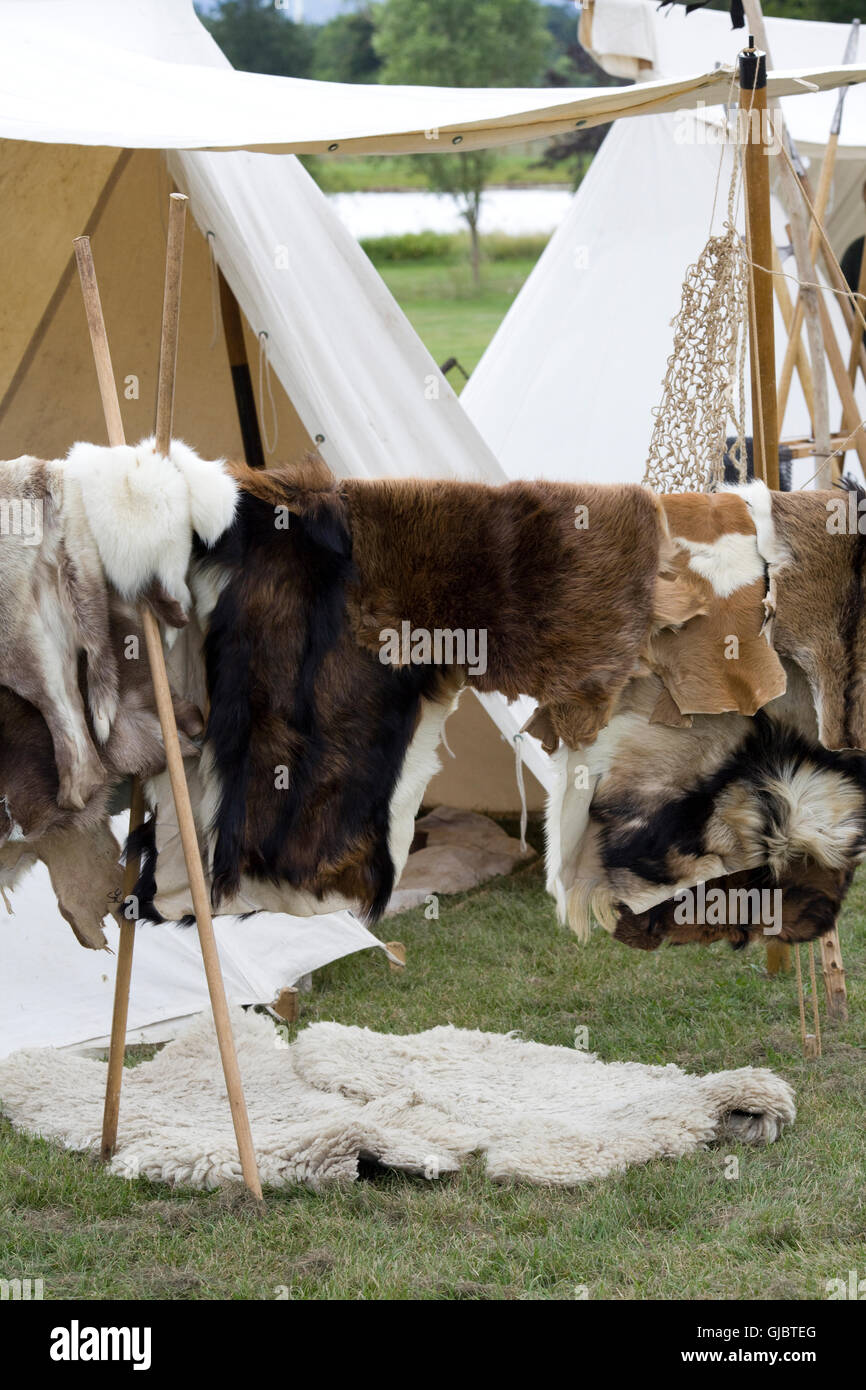 Animal hides and pelts hi-res stock photography and images - Alamy