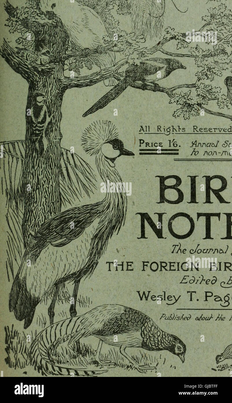 'Bird Notes' from 1919 compiles observations and studies on various ...