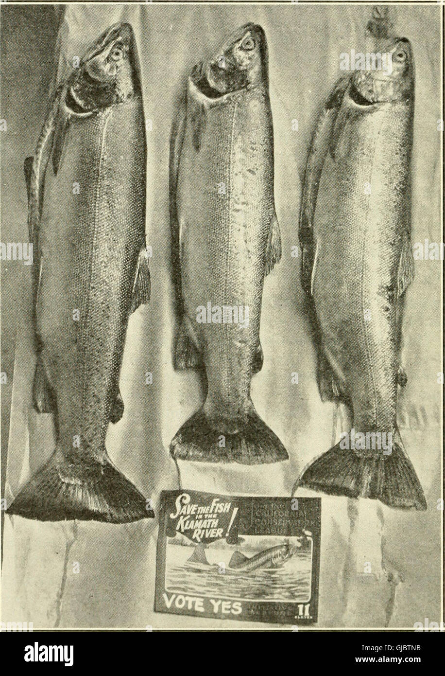 California Fish and Game provides a detailed overview of the state's ...
