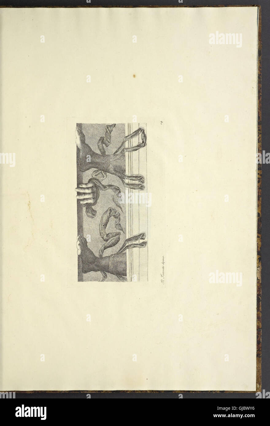 This 1760 work showcases fresco paintings by leading Venetian masters ...