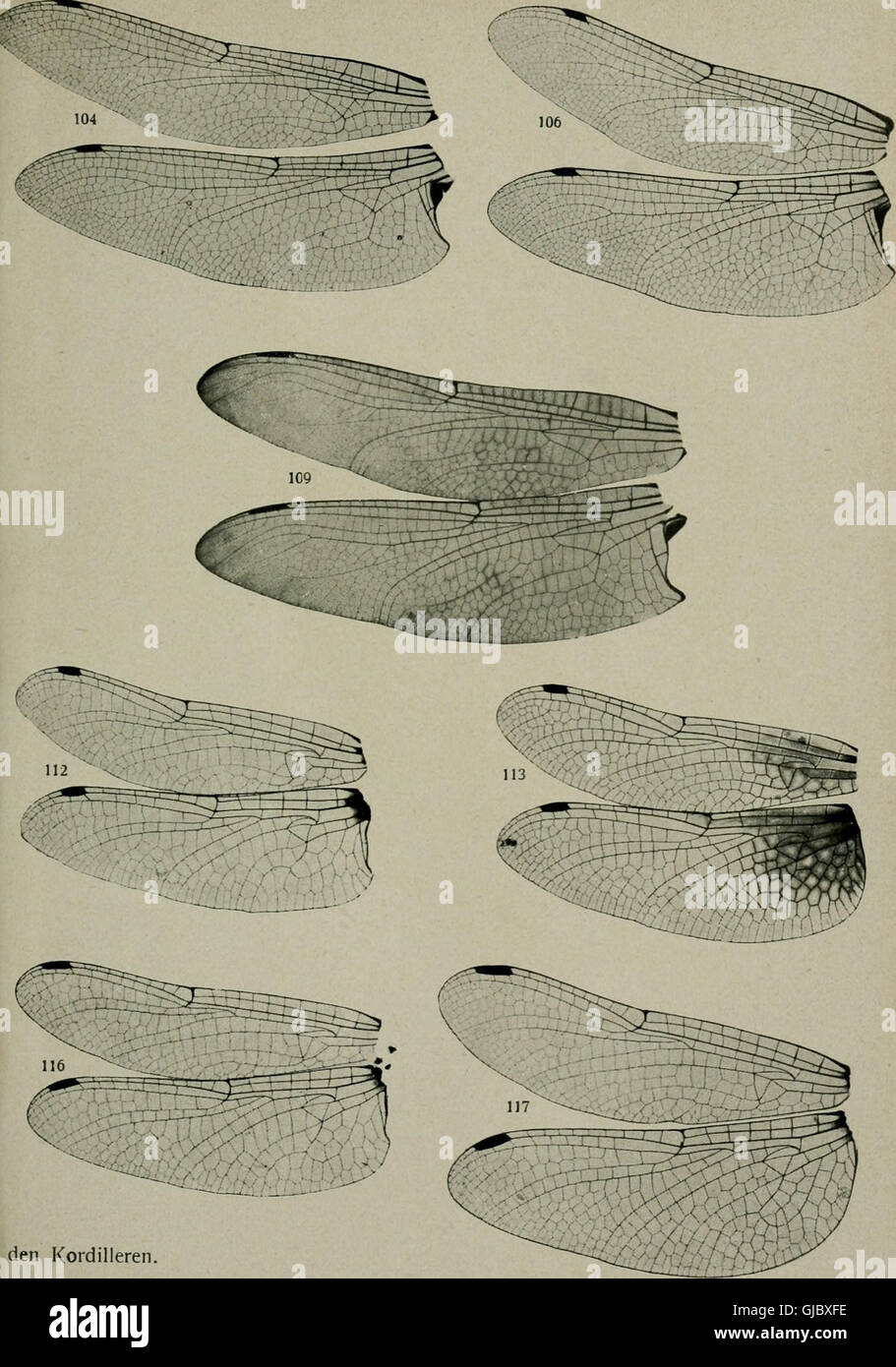 A 1916 historical journal, focusing on archival research and studies ...