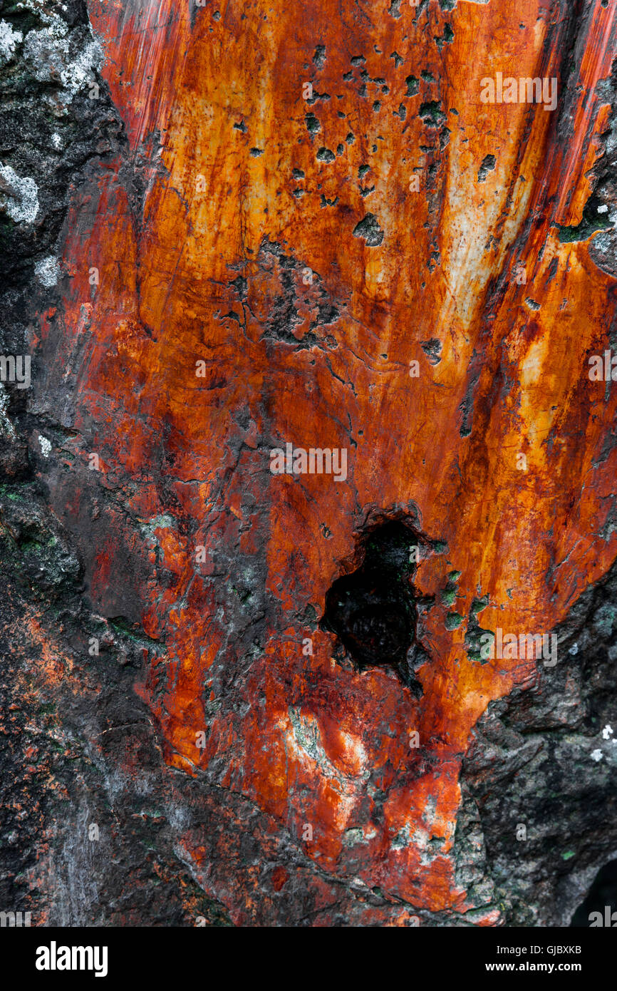 Ferrous rock formation hi-res stock photography and images - Alamy