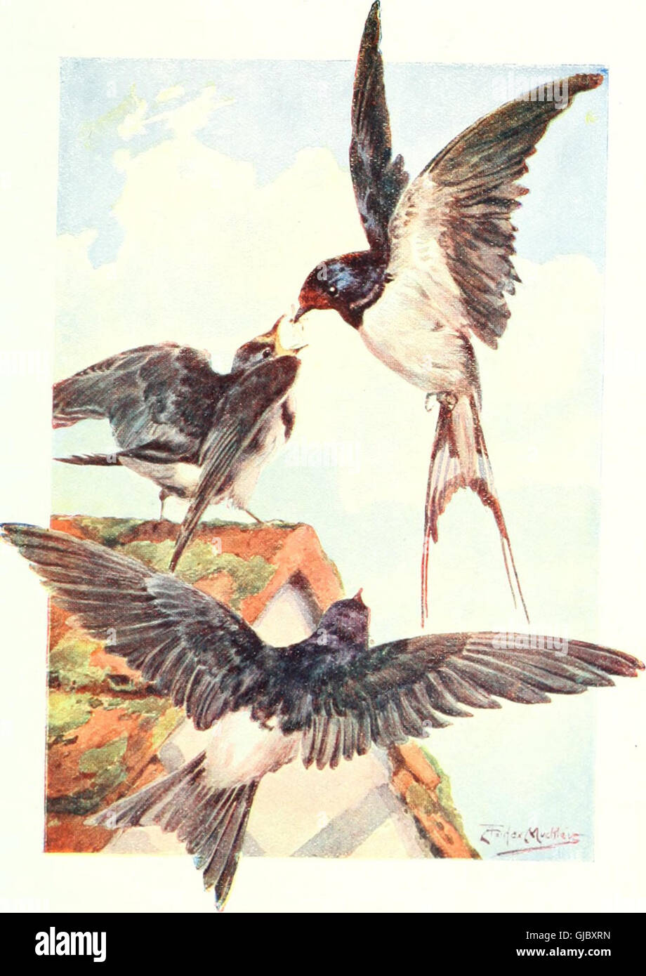 This 1903 work explores the symbolism of vision and perception, with a ...