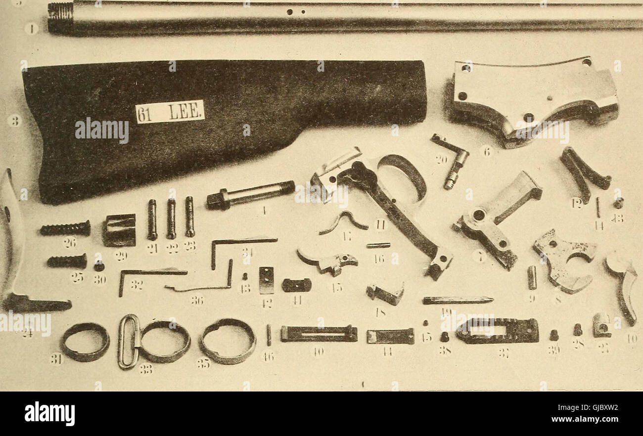 A 19th-century military report detailing the selection process for ...