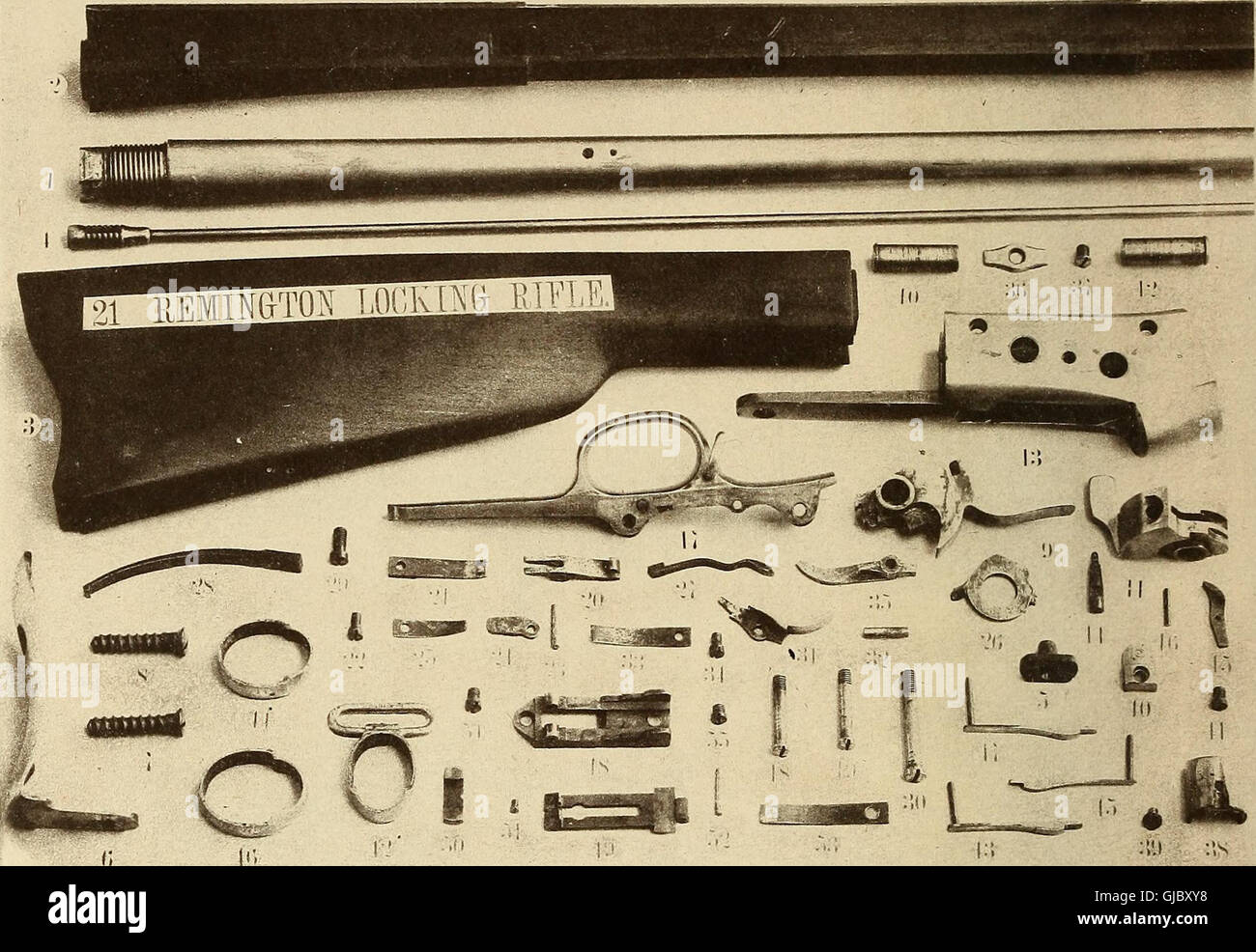 A report from 1872 detailing the selection of a breech-loading system ...