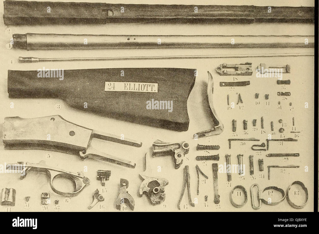 This 1872 report discusses the selection process for breech-loading ...