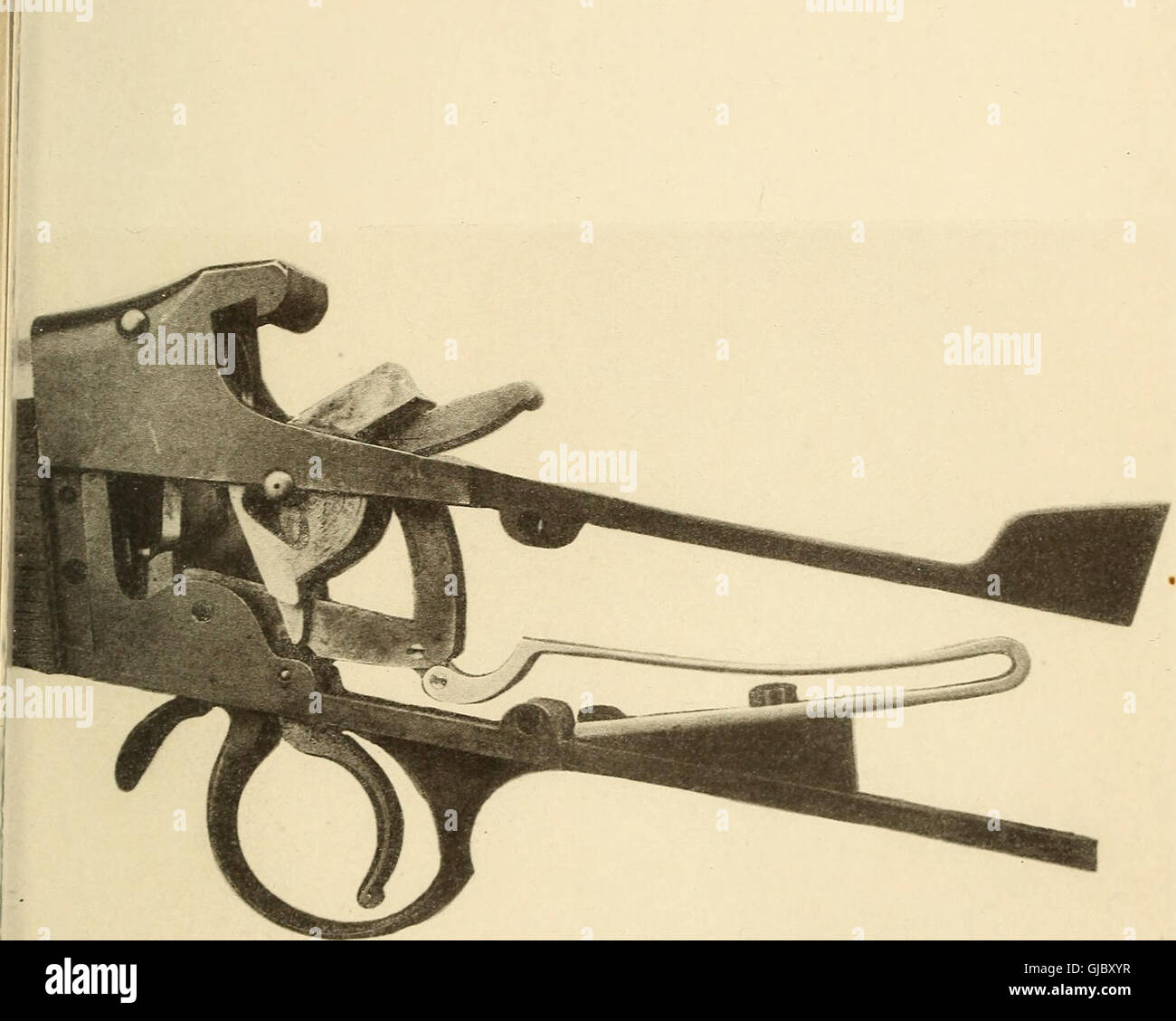 This report from 1872 details the selection process of a breech-loading ...
