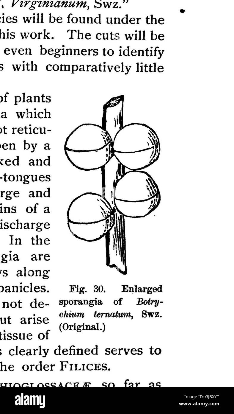 Native american map Black and White Stock Photos & Images - Alamy