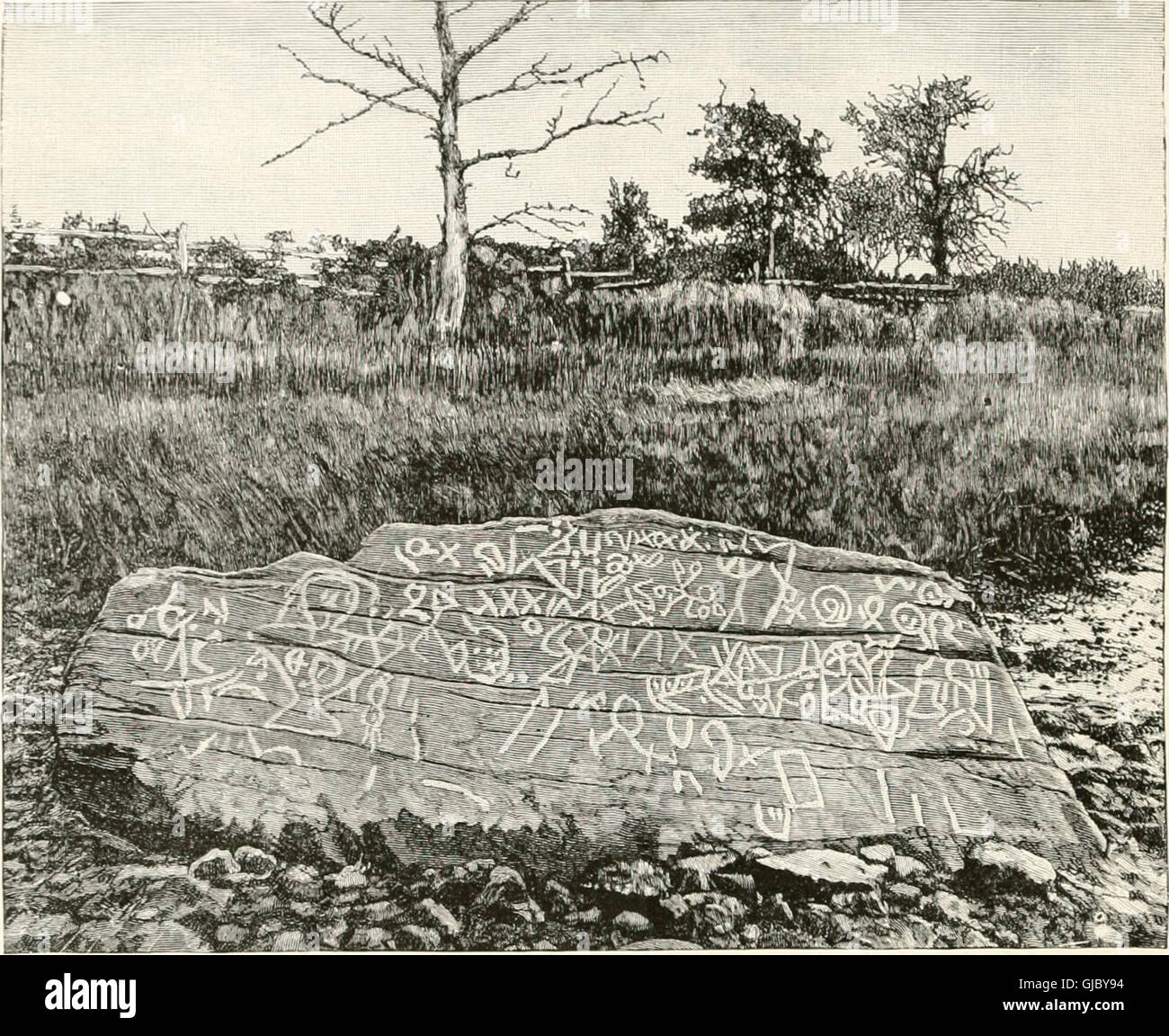 This 1919 book presents a history of Indigenous peoples in North ...