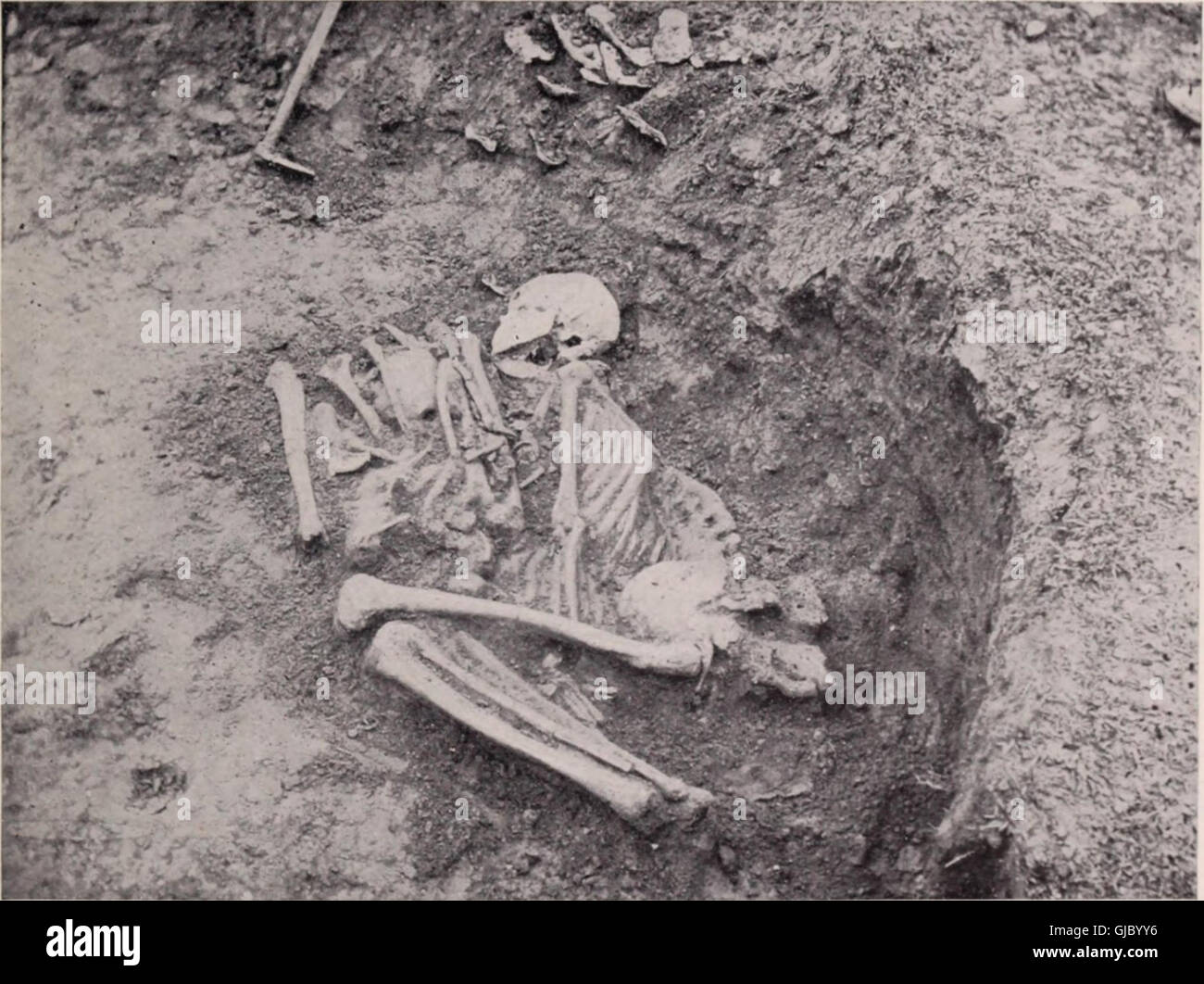 This 1921 work explores the Native American tribes that inhabited ...