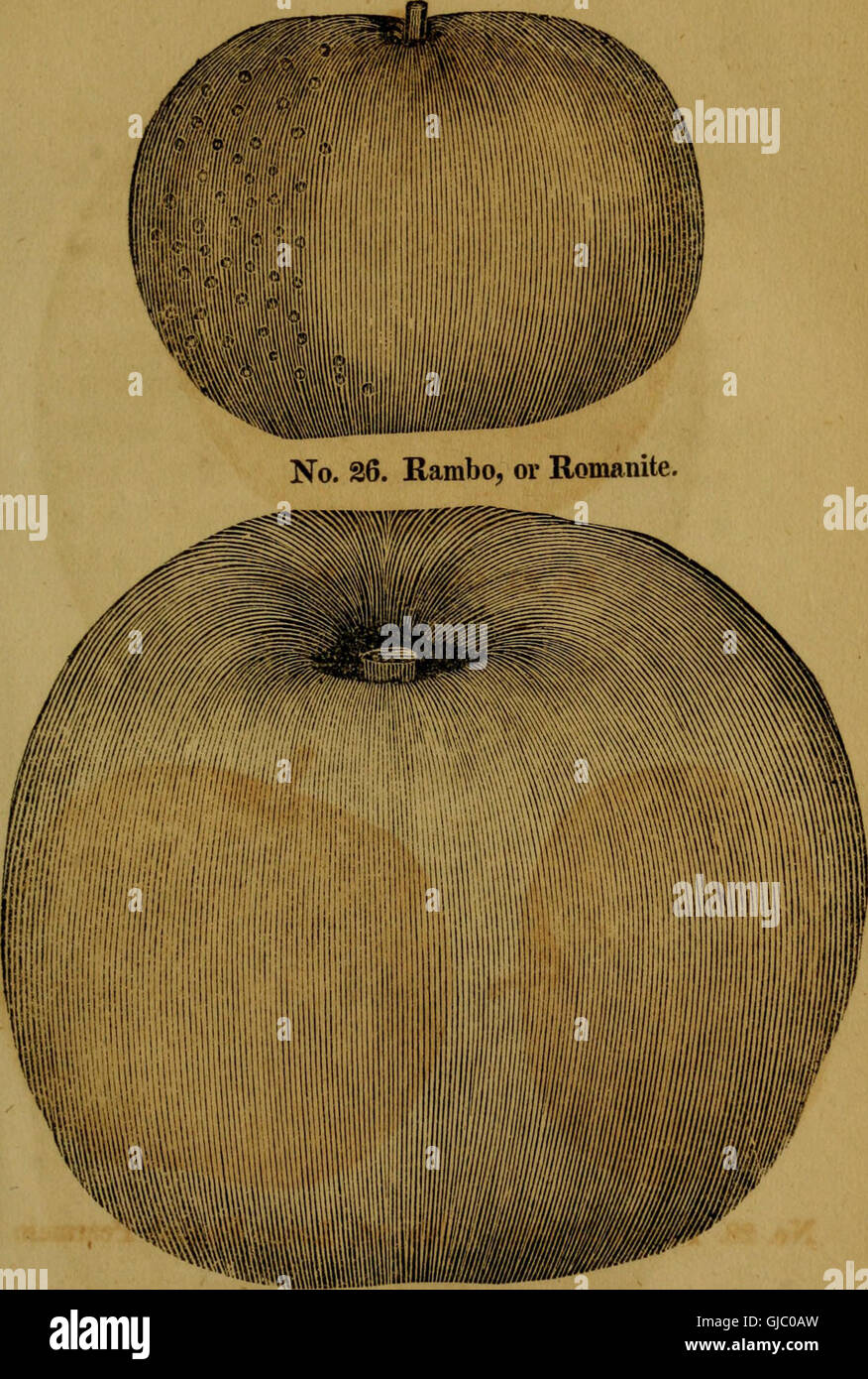 Map of orchards hi-res stock photography and images - Alamy