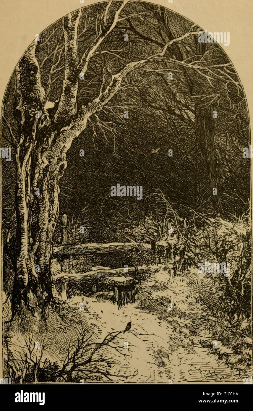 This 1884 collection compiles the works of American poet William Cullen ...