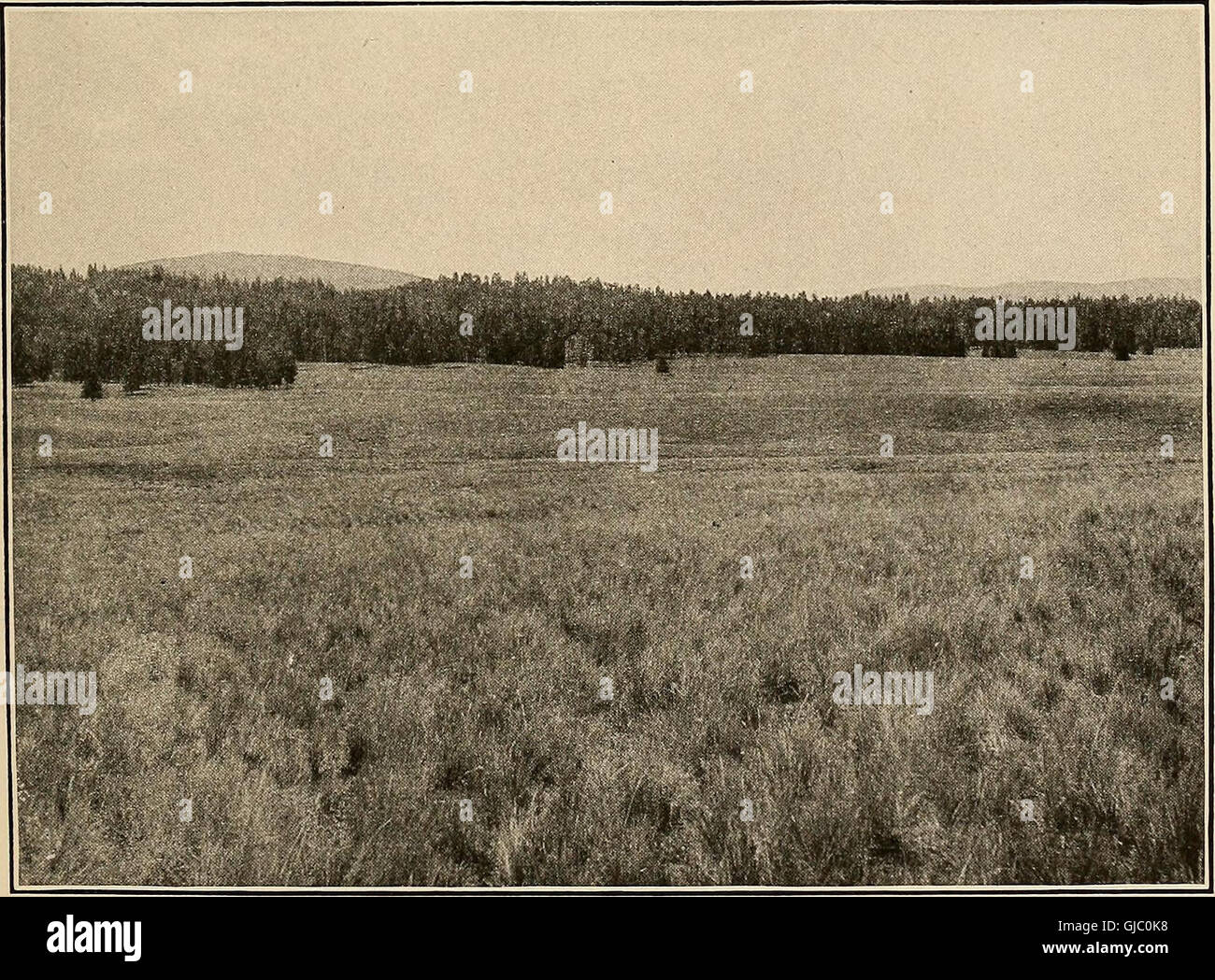 This 1916 study explores the relationship between the Tewa Native ...