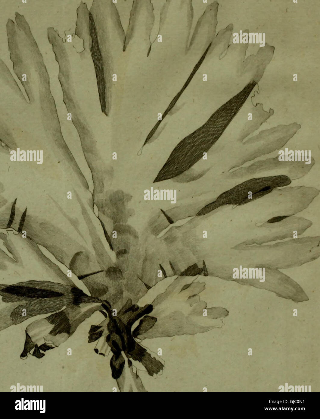 Systematic method hi-res stock photography and images - Alamy