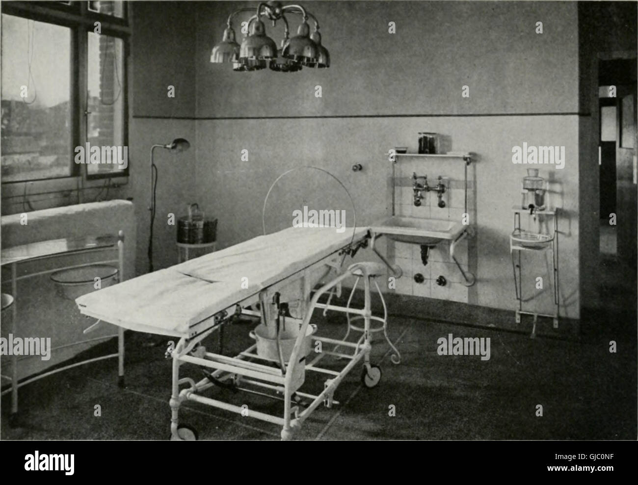 *The American Hospital of the Twentieth Century* (1918) examines the ...