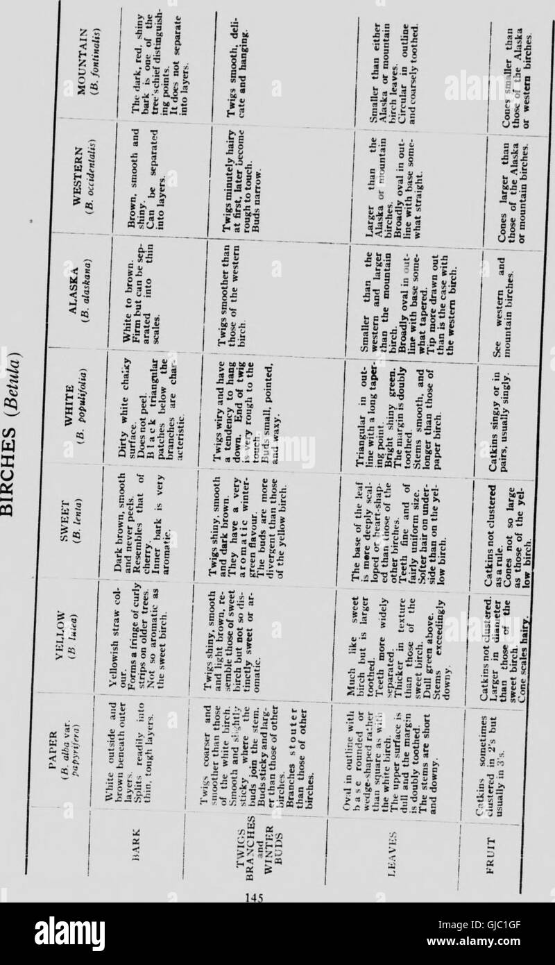 'Native Trees of Canada' (1917) provides a comprehensive guide to the ...
