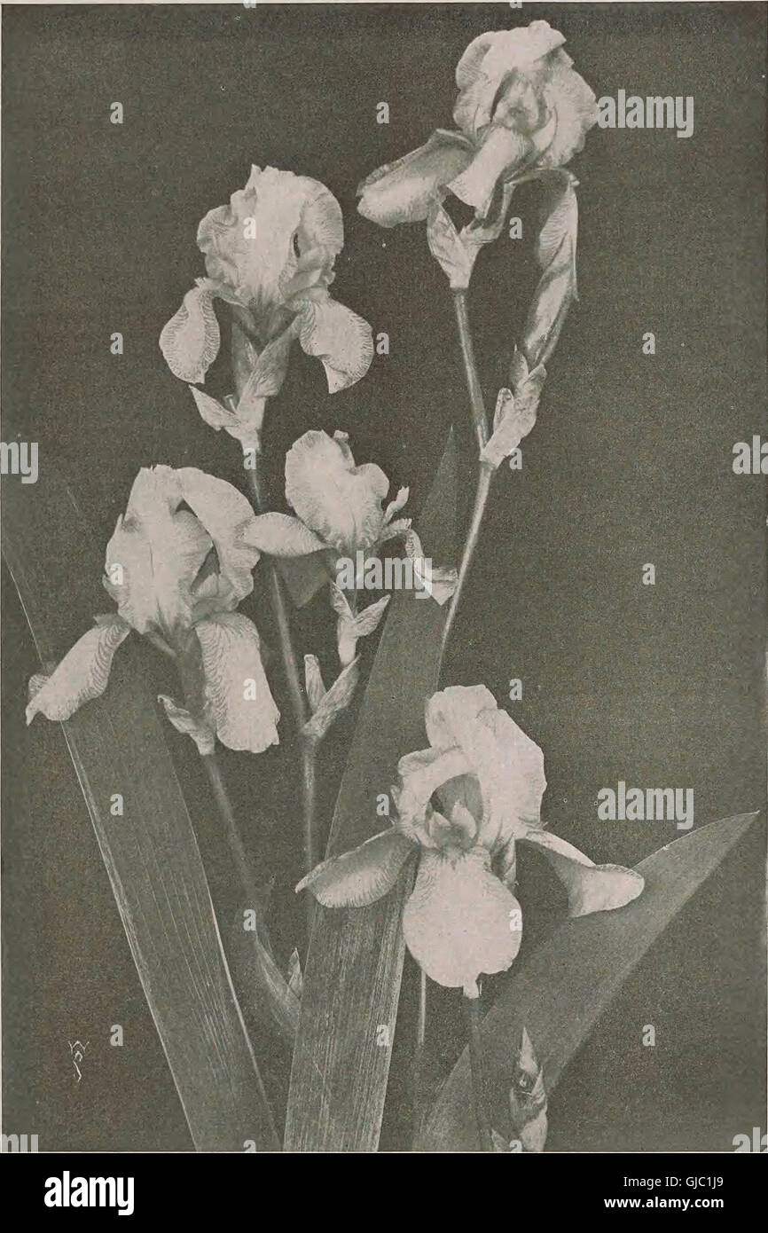 Keramic studio (1912 Stock Photo - Alamy