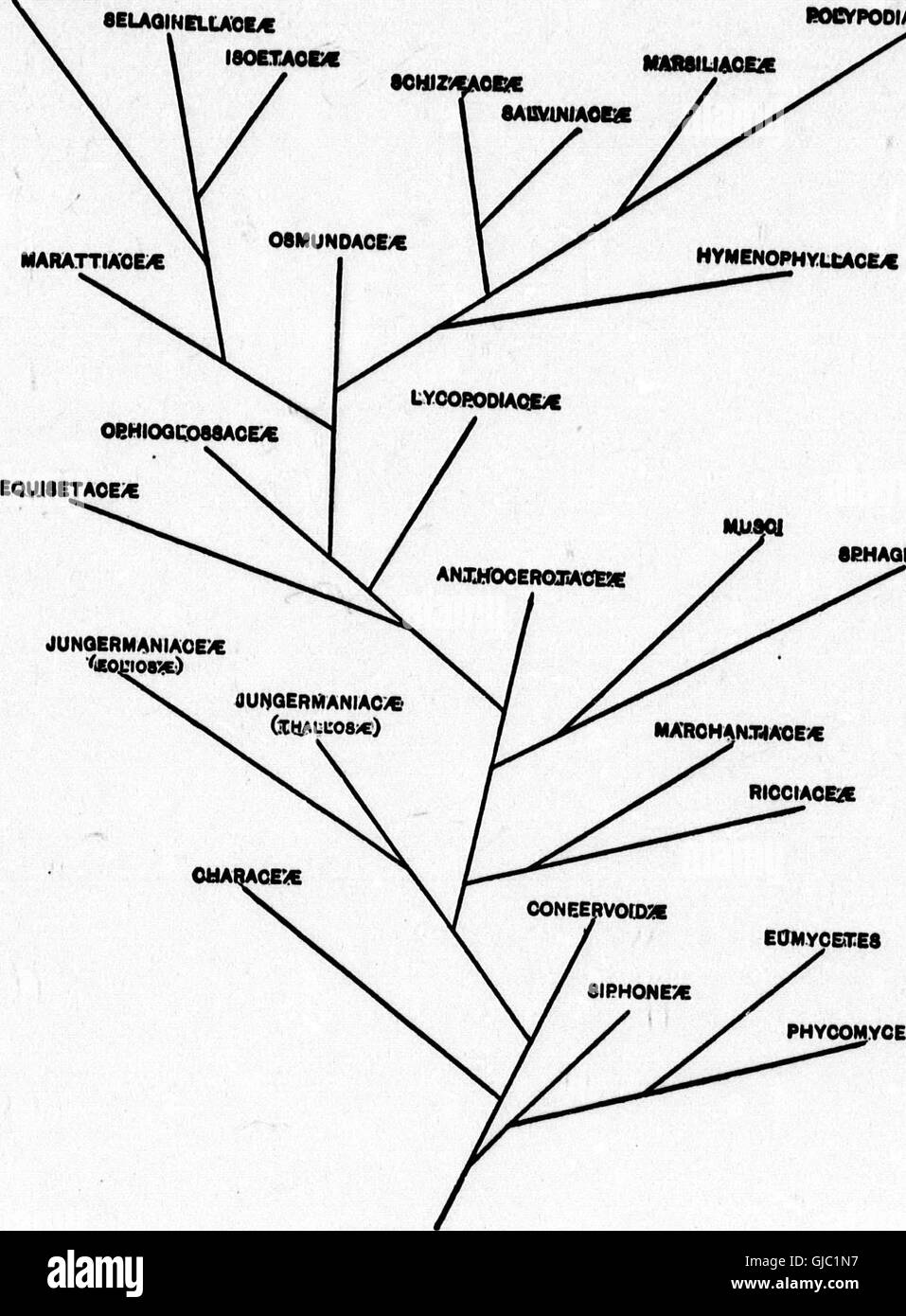 Native american map Black and White Stock Photos & Images - Alamy