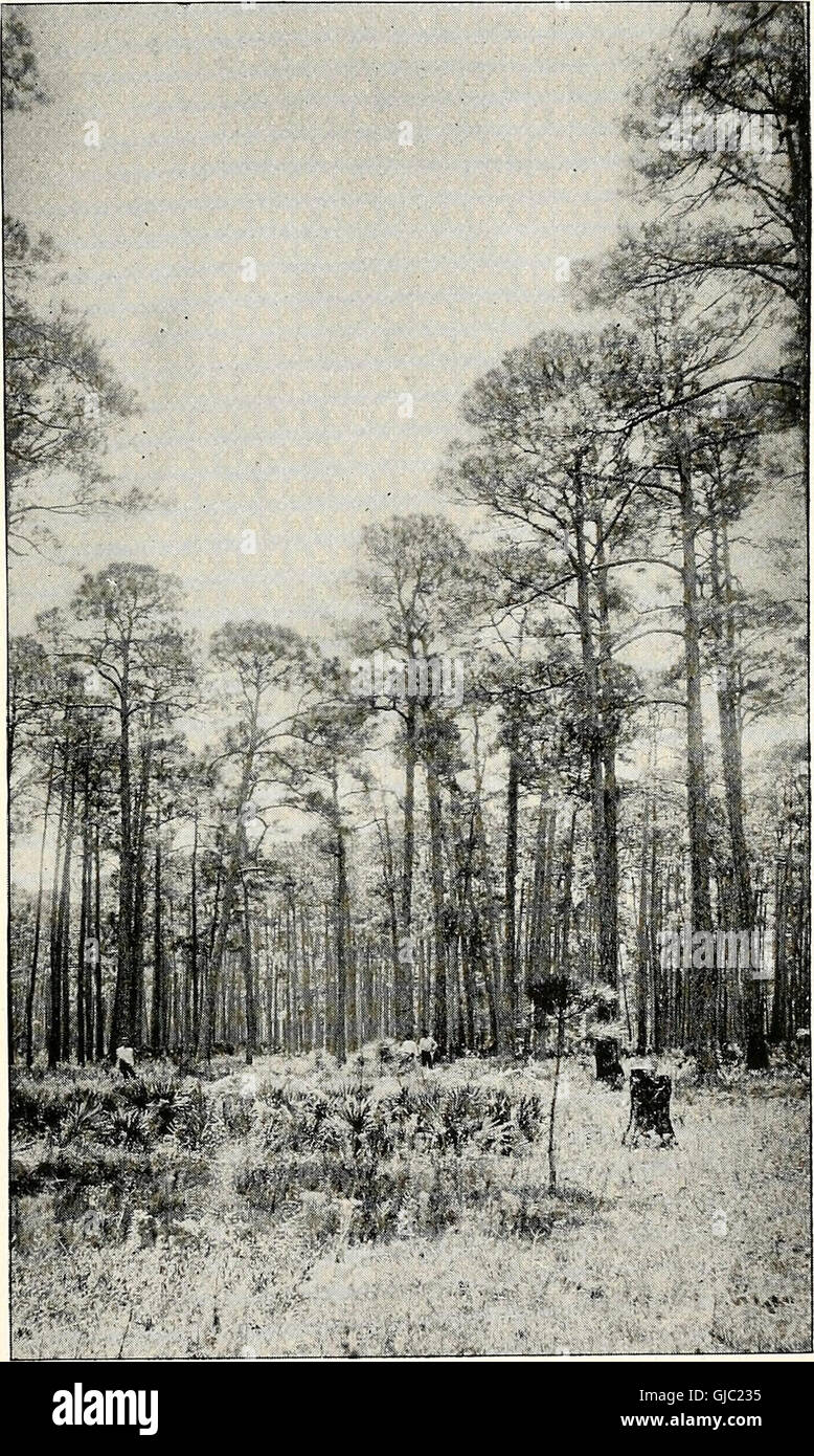 The Southern States (1893) provides a detailed account of the geography ...