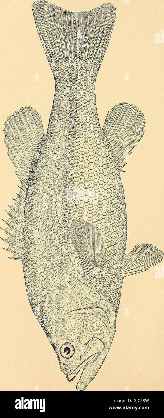 This 1897 manual provides practical guidelines on fish culture, based ...