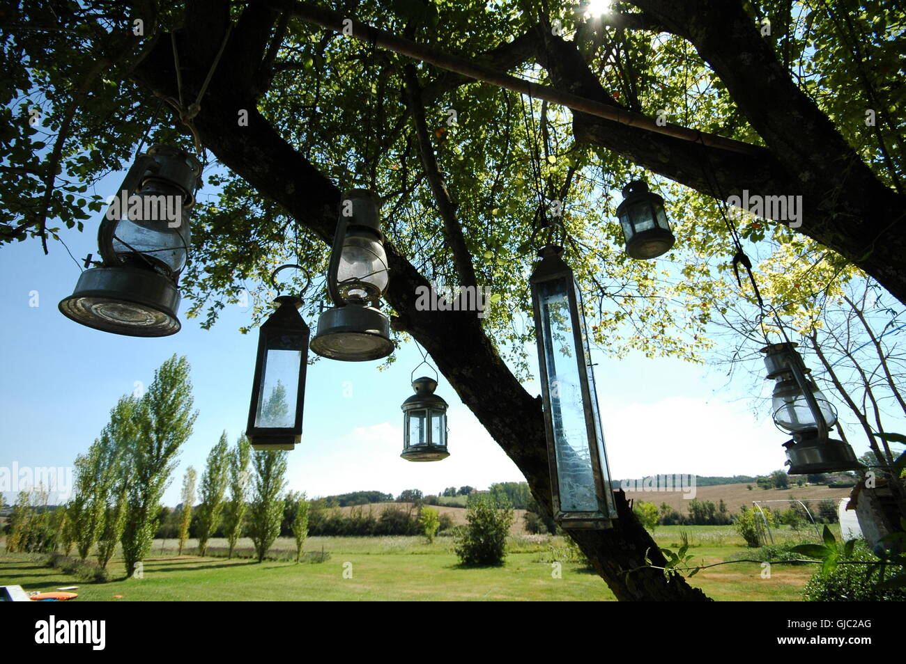 Lanterns in a tree in a beautiful garden Stock Photo - Alamy