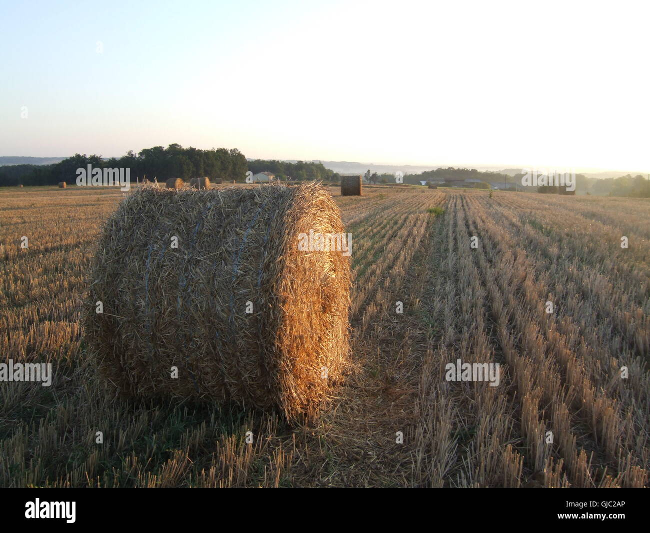 Harvet bales hi-res stock photography and images - Alamy