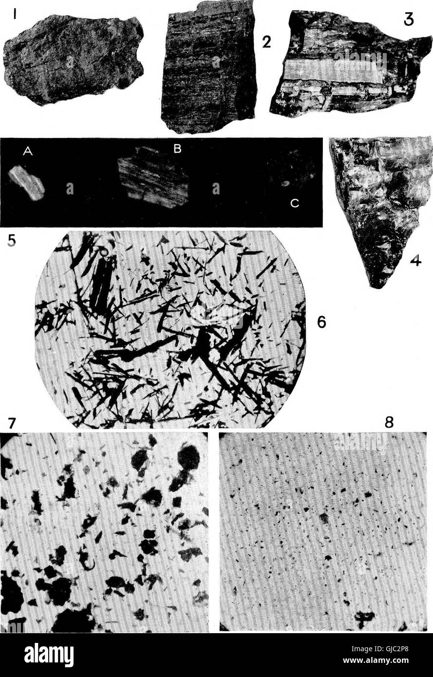 This 1919 study examines the composition of banded bituminous coal ...
